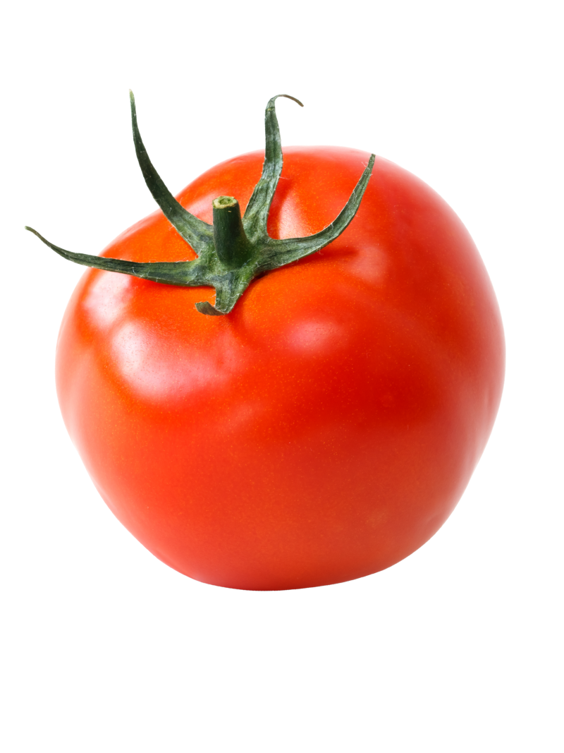 Tomato Daniela – Jover Fruits S.L